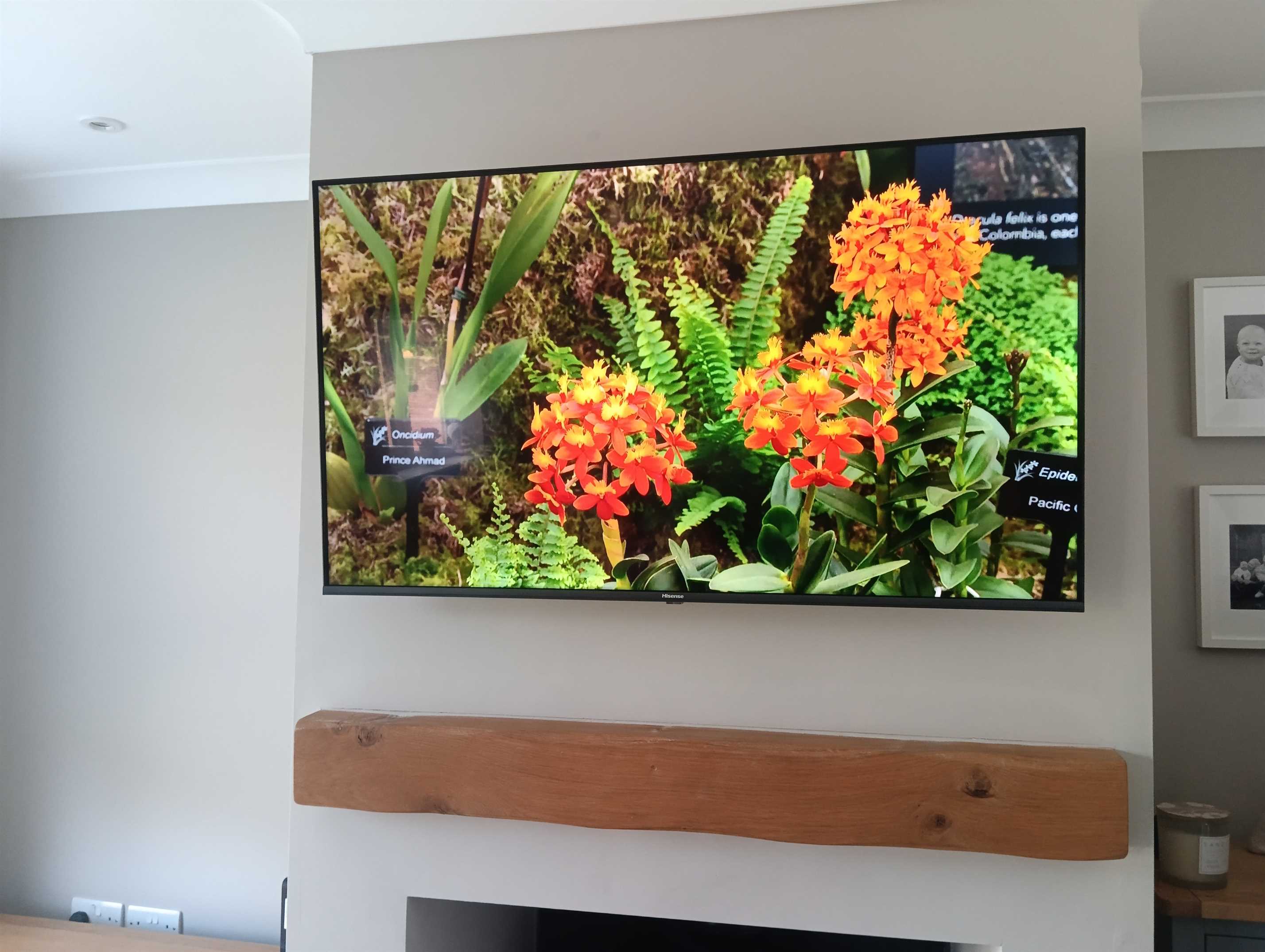 Wall Mounted TV, TV sockets and digital TV antenna installed in ...